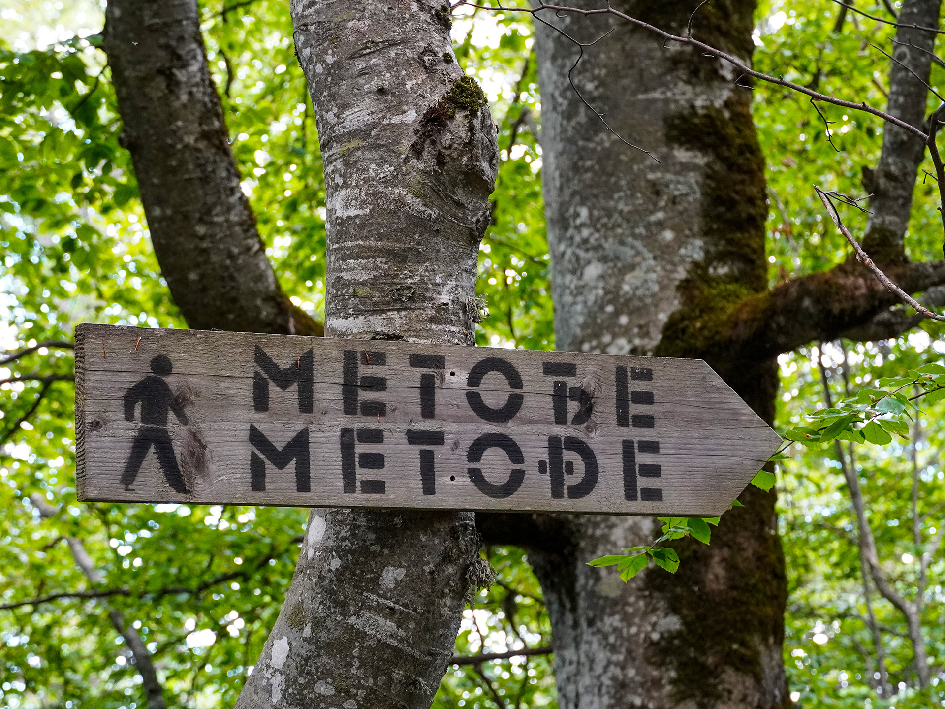 Kopaonik - infoKOP - Pešačka tura "Metođe"