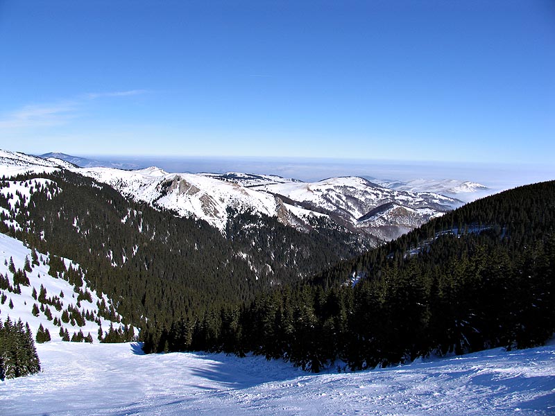 Kopaonik - infoKOP - Ski staza Ledenice uz ski lift "Gvozdac"