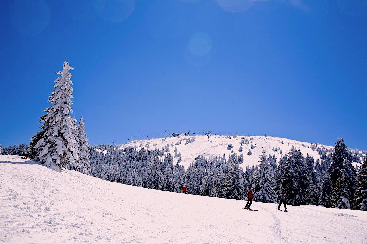 Kopaonik - infoKOP - Last minute produženi ski vikend - MK Mountain Resort