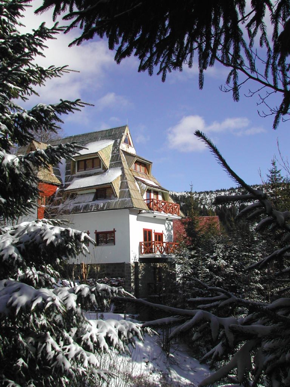 Kopaonik - infoKOP - Last minute: Vila "Runolist"