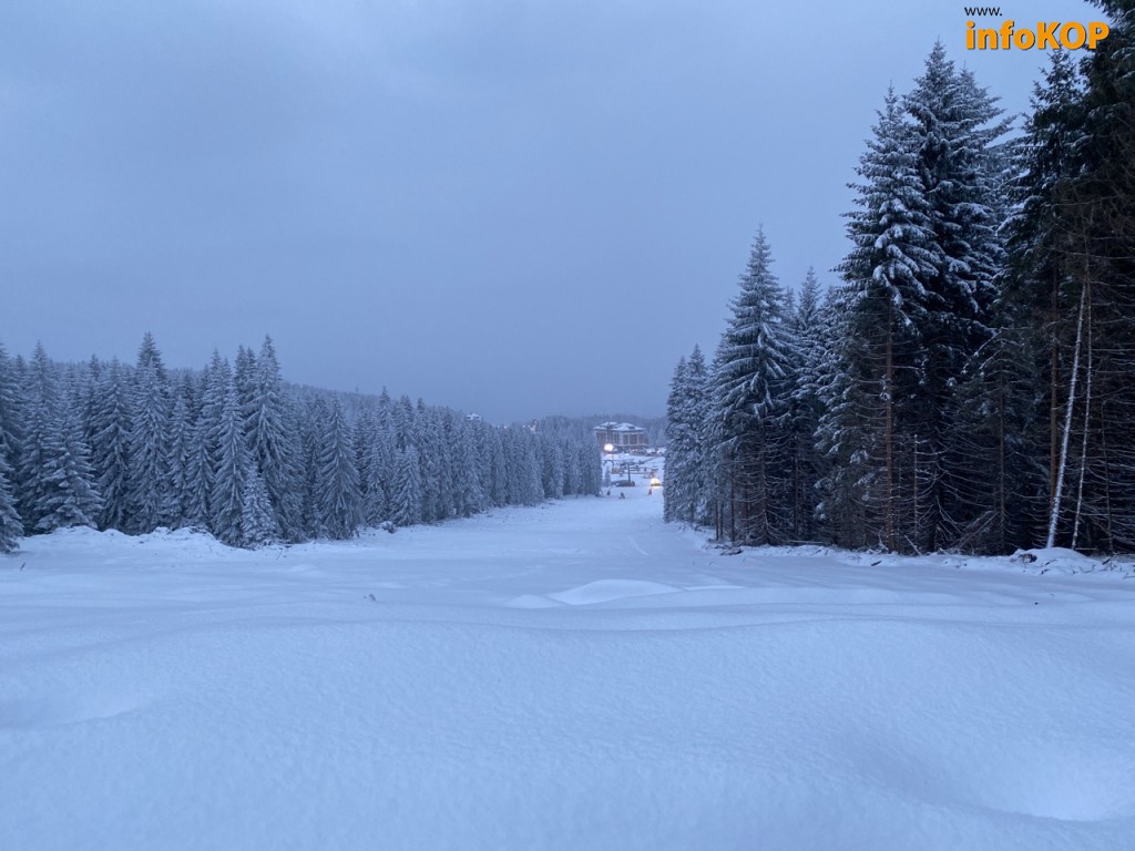Kopaonik - infoKOP - U pripremi 4b - Pančičev vrh, 10 cm svežeg snega ...